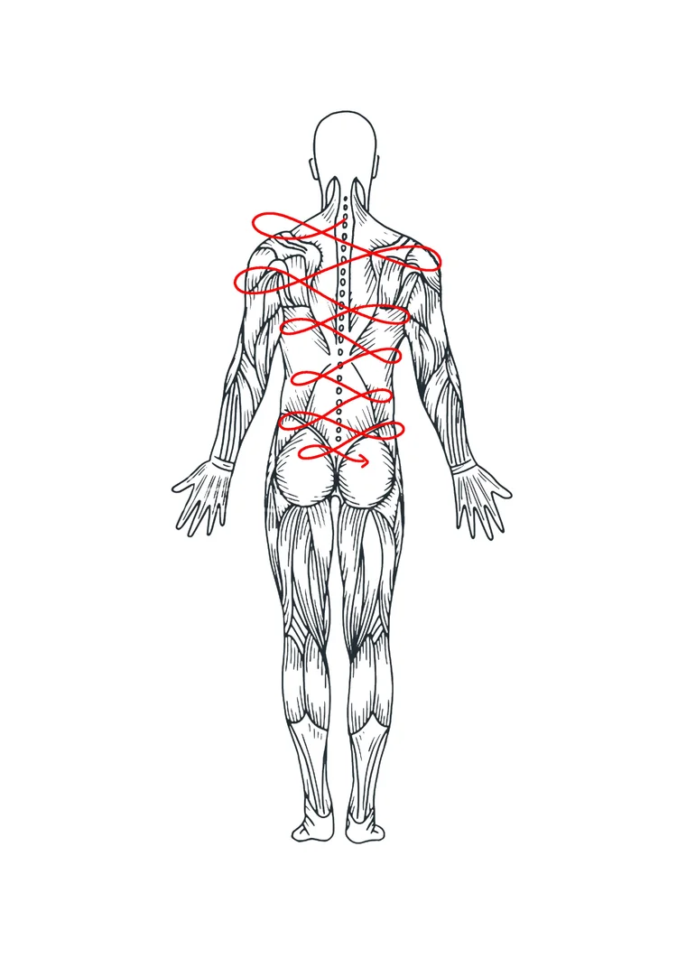 Blog - The Primary shapes of guided Drawing: The Lemniscate — Institute ...