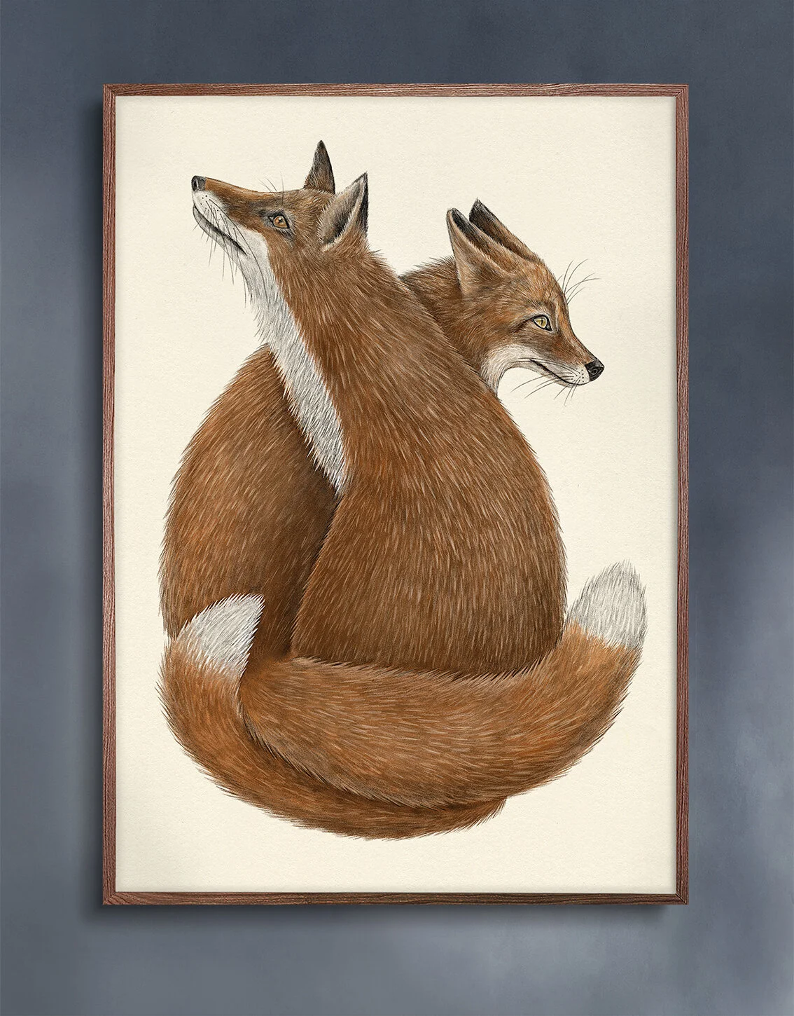 Shop — Jonna Fransson Illustration