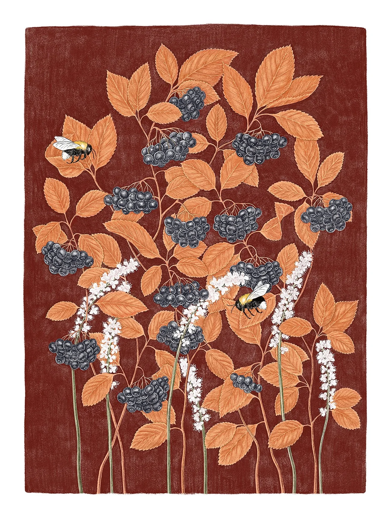 Shop — Jonna Fransson Illustration