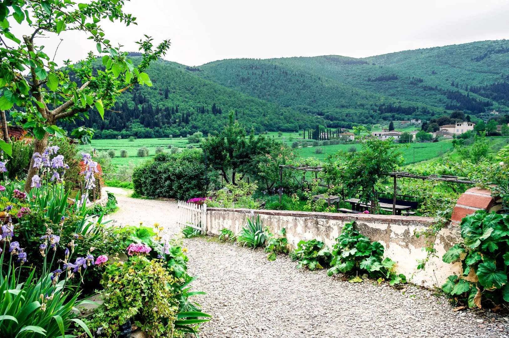 Our Agriturismo — PODERE MONTISI