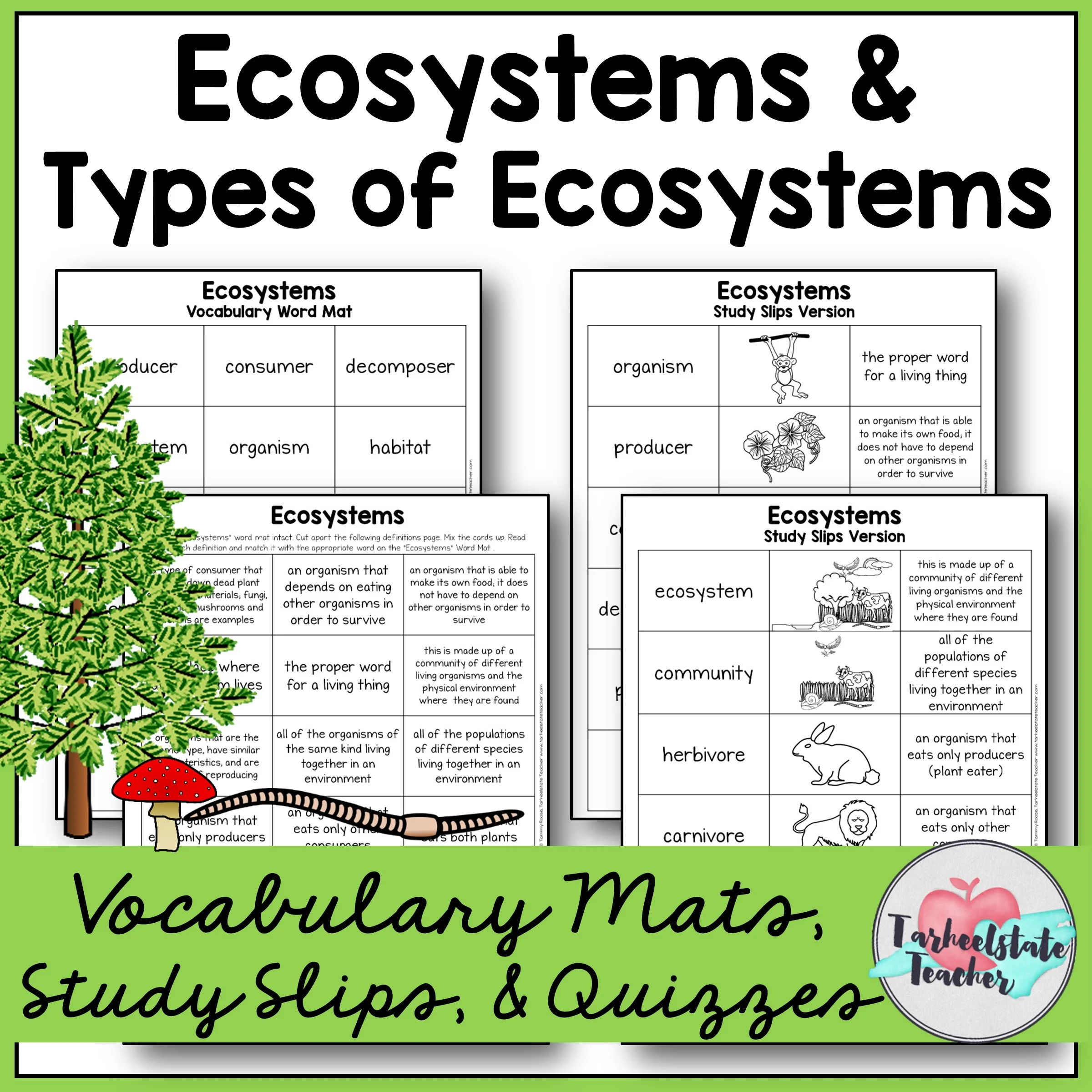 Vocabulary Mats: My FAVORITE SCIENCE STUDY STRATEGY! — Tarheelstate Teacher