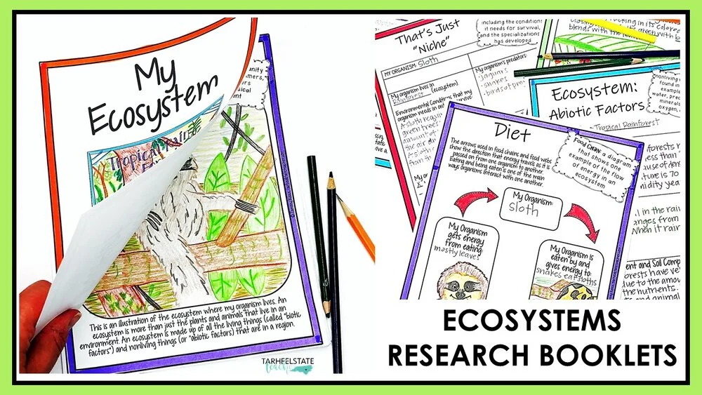 Ecosystems Project Based Learning: Museum Project — Tarheelstate Teacher