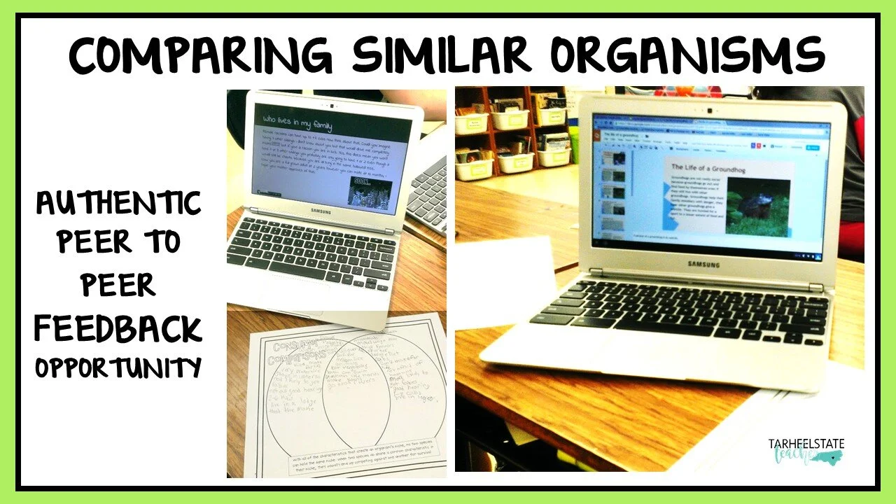 Ecosystems Project Based Learning: Museum Project — Tarheelstate Teacher