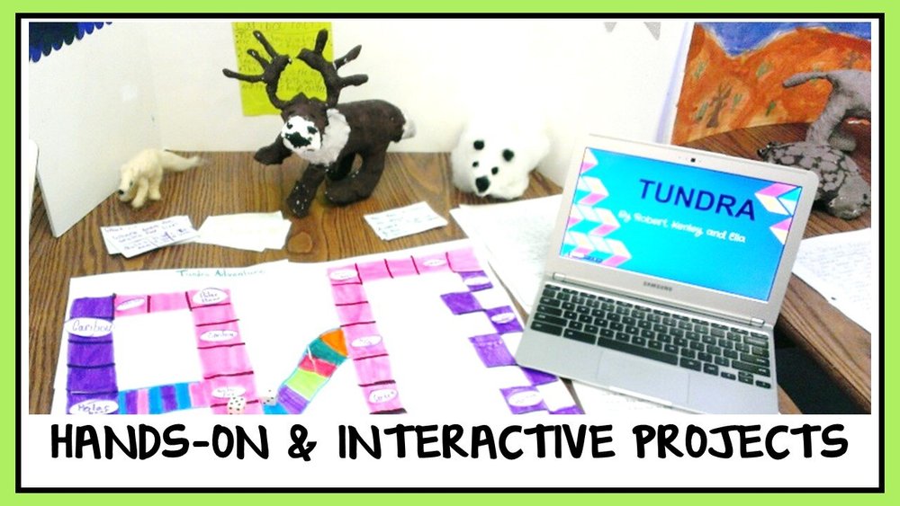 Ecosystems Project Based Learning: Museum Project — Tarheelstate Teacher