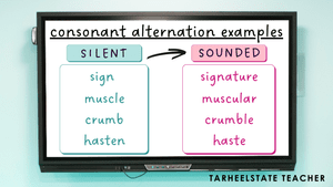 Examining Vowel and Consonant Alternation in Related Words through the ...