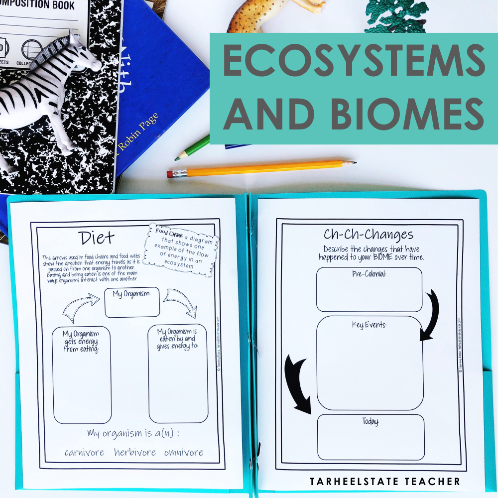 Ecosystems Project Based Learning: Museum Project — Tarheelstate Teacher