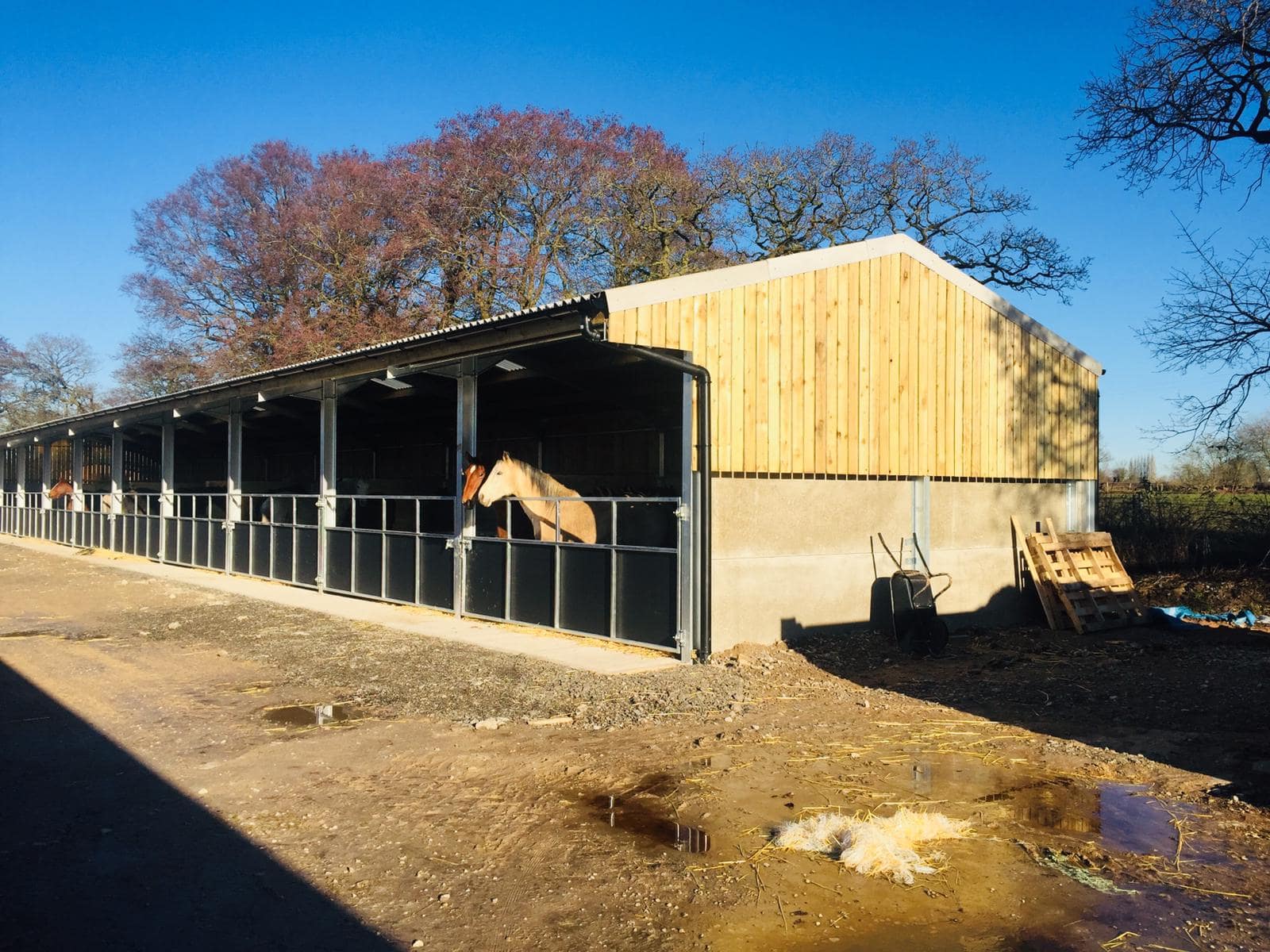 Equestrian gallery — ACJackson