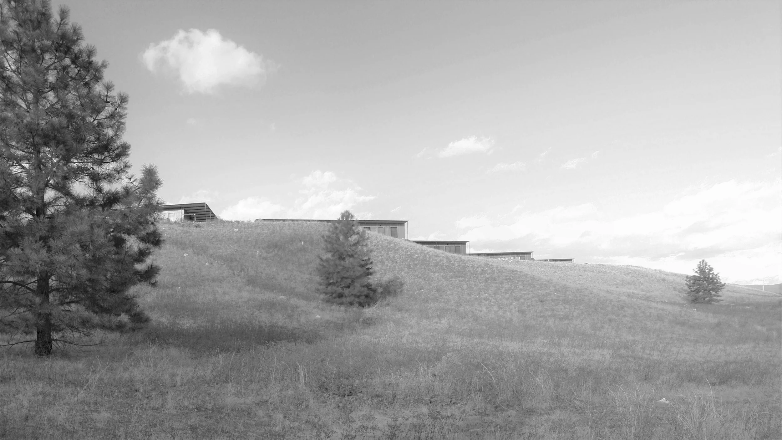 Landform Architecture + Design Build