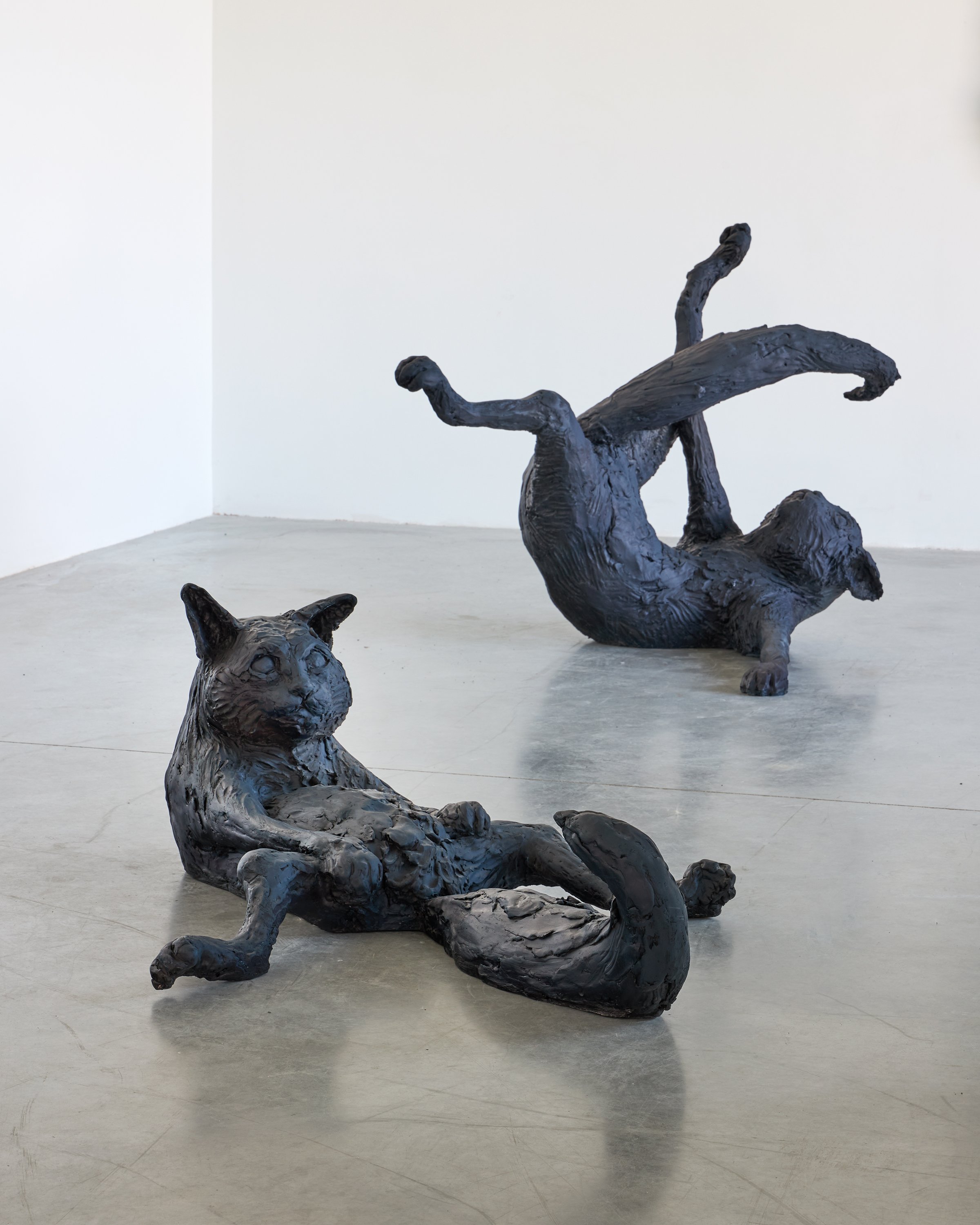 EXHIBITIONS — LAURA FORD