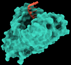 News — Ansa Biotechnologies