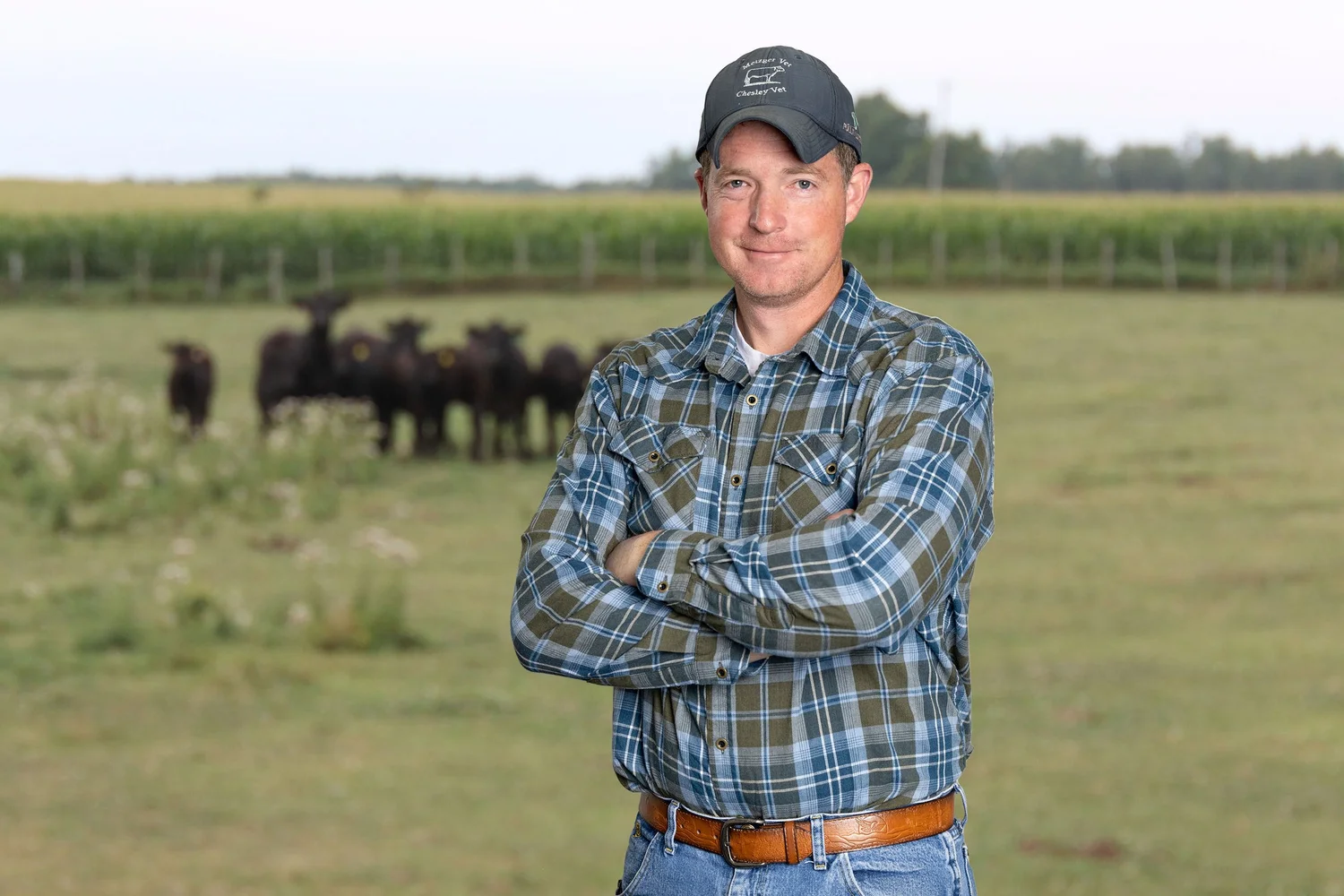 Veterinary Team | Vet Services — Metzger Vet | Veterinary Clinic ...