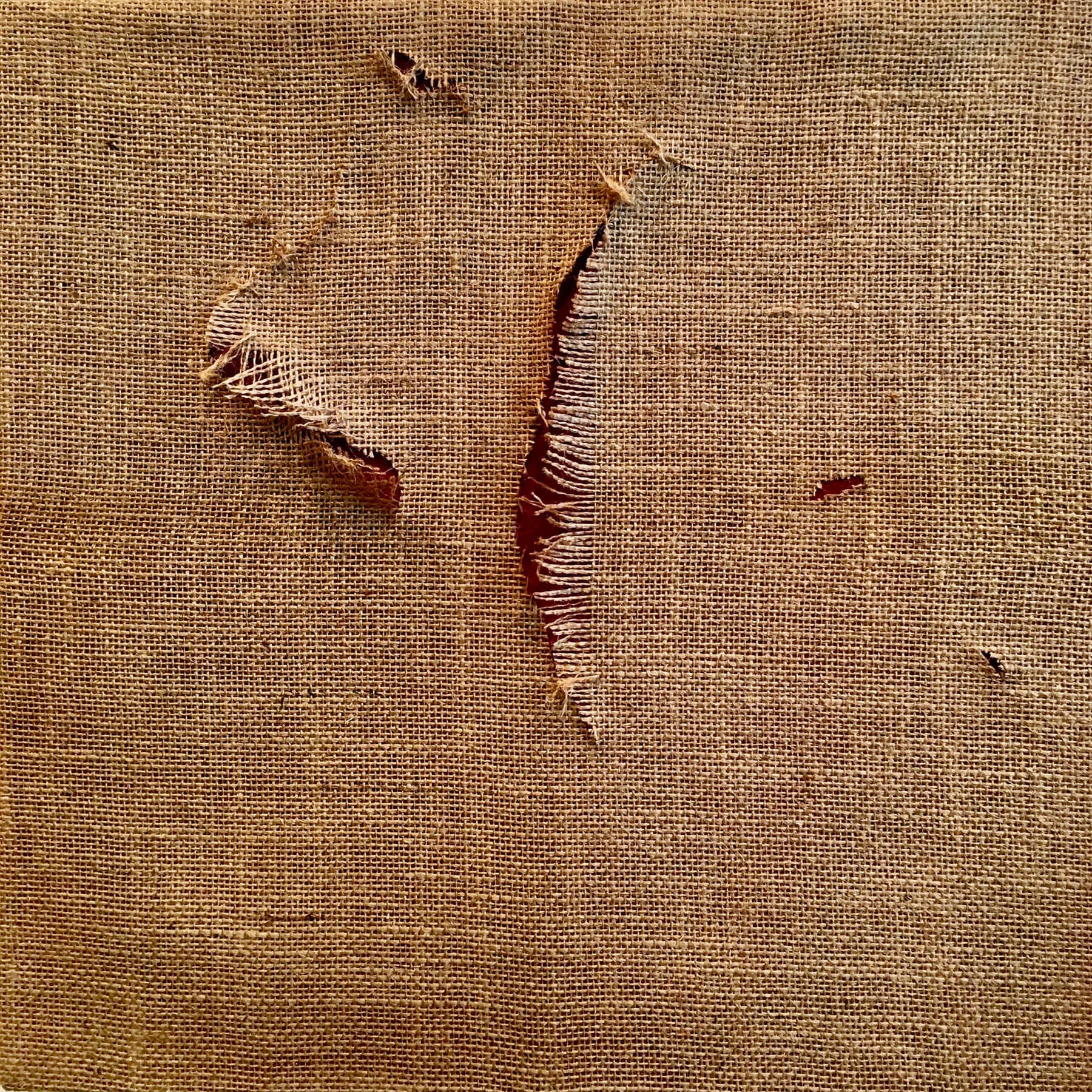 Janus — Cora H. Roth