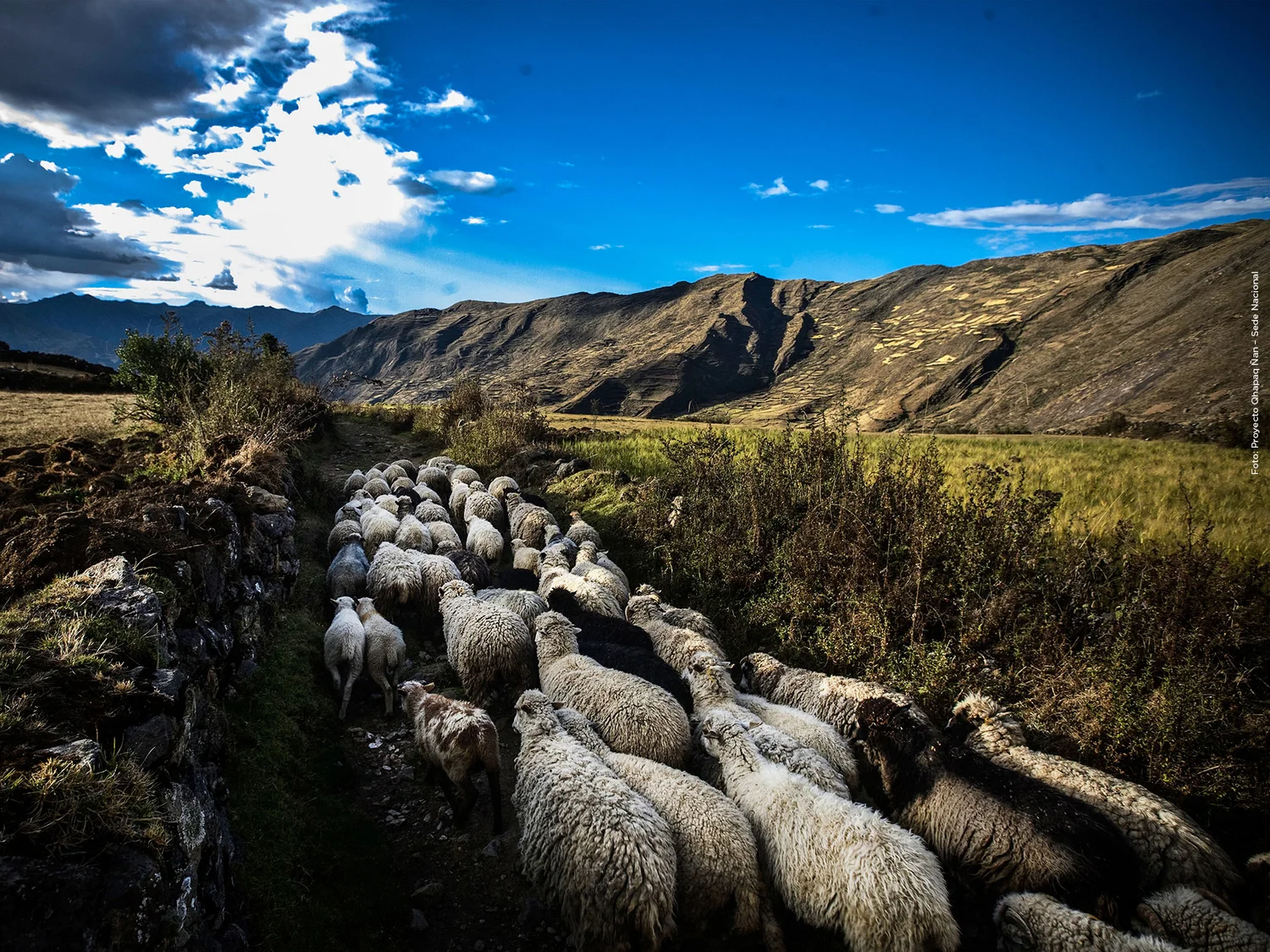 ECO TURISMO PERÚ