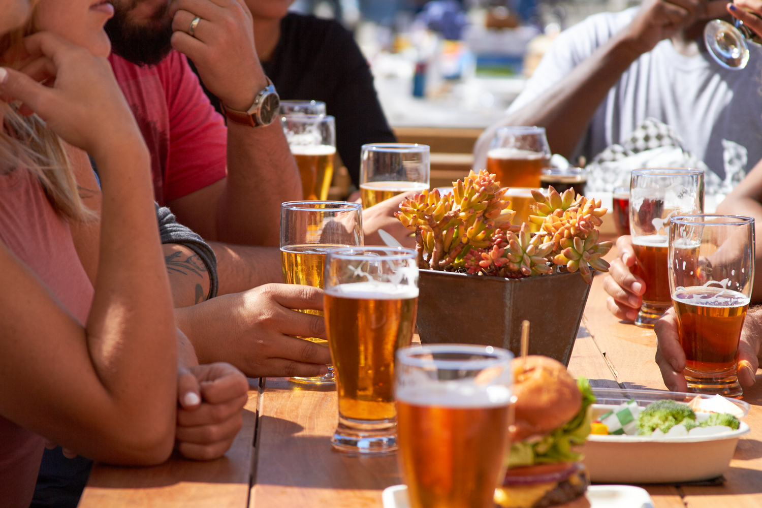 Visit — Faction Brewing