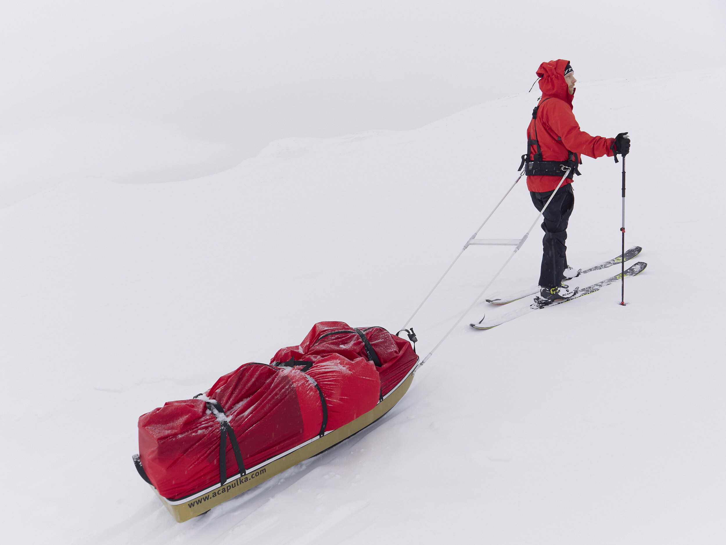 Dovrefjell Pulk adventure — NORDIC DIVISION