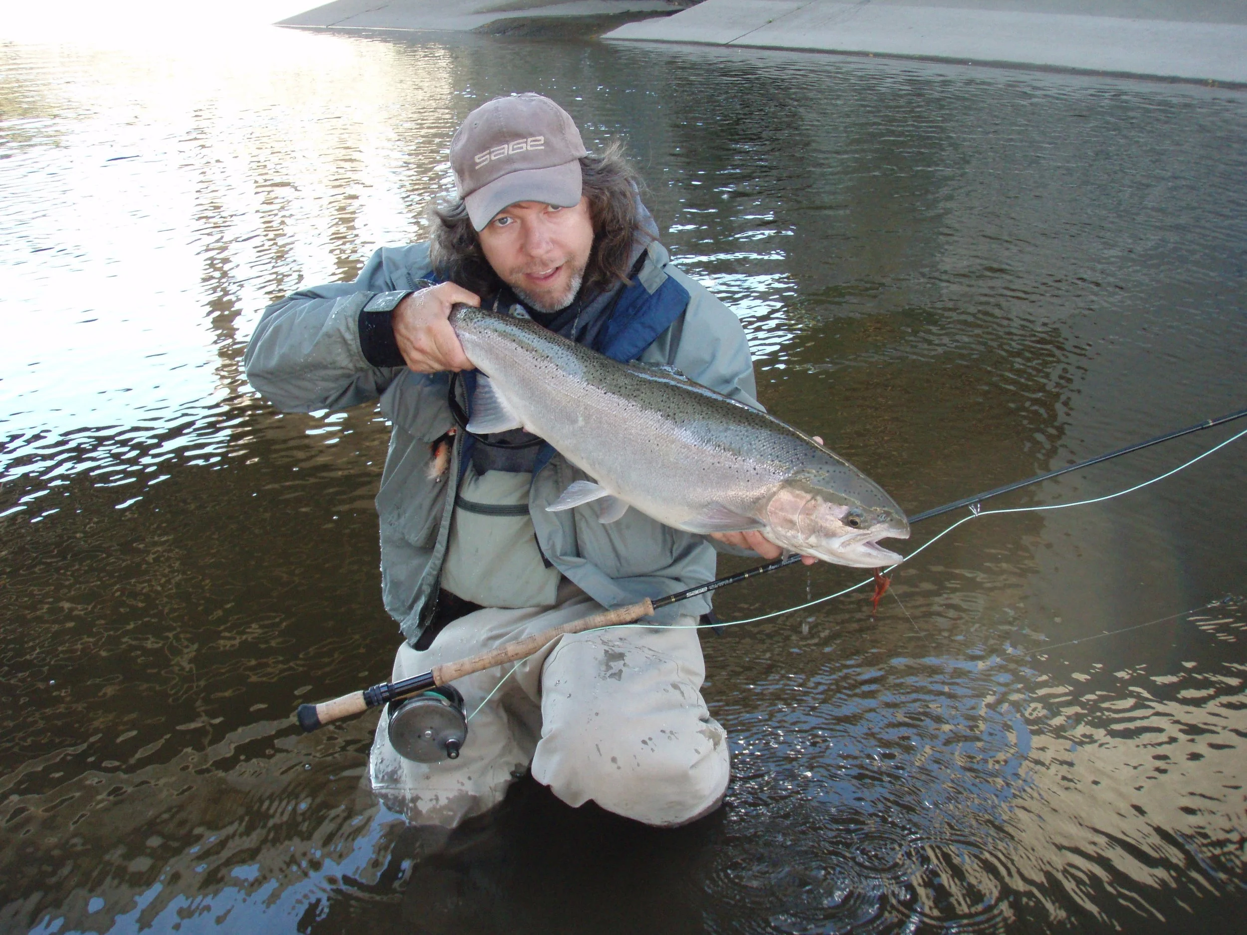 Steelhead Run — Menomonee River Valley