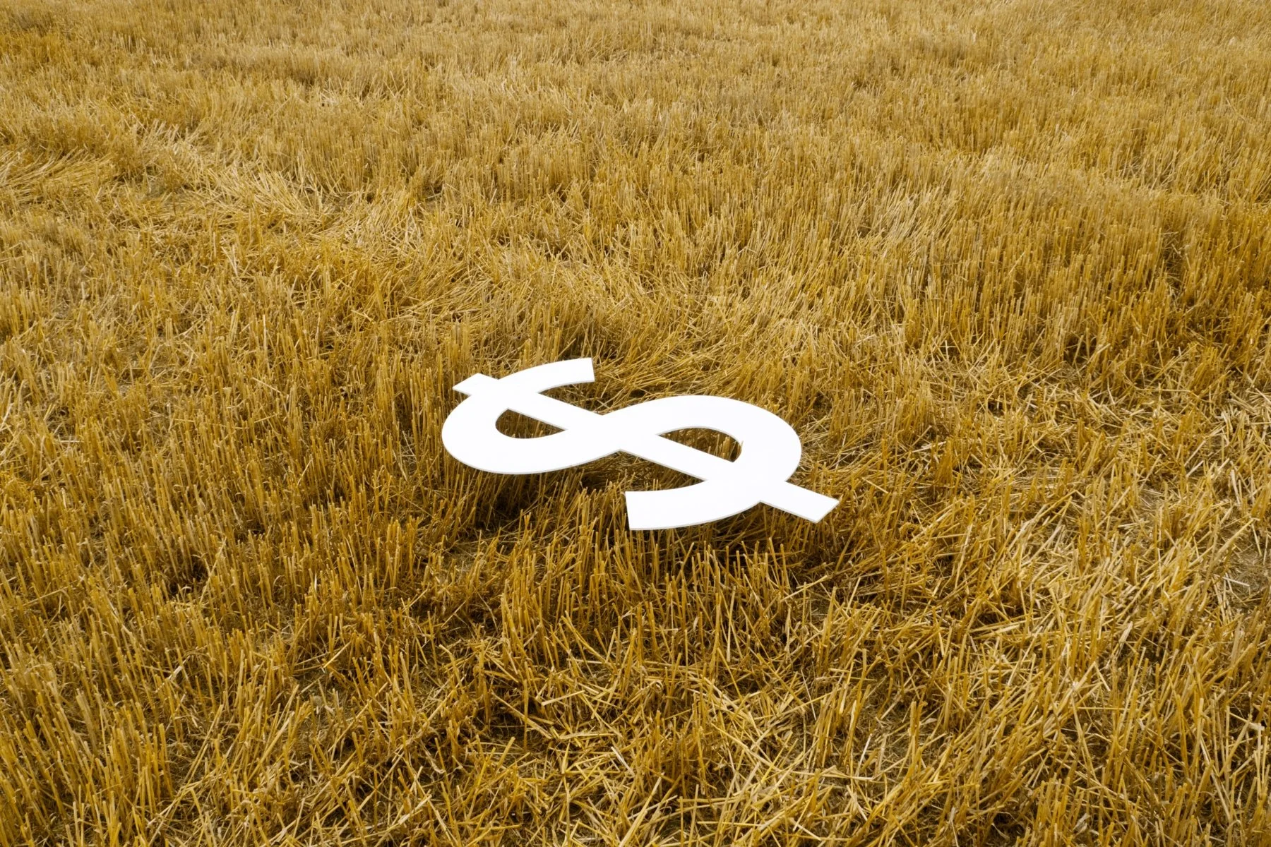 Workshops + Events — CARFAC Saskatchewan