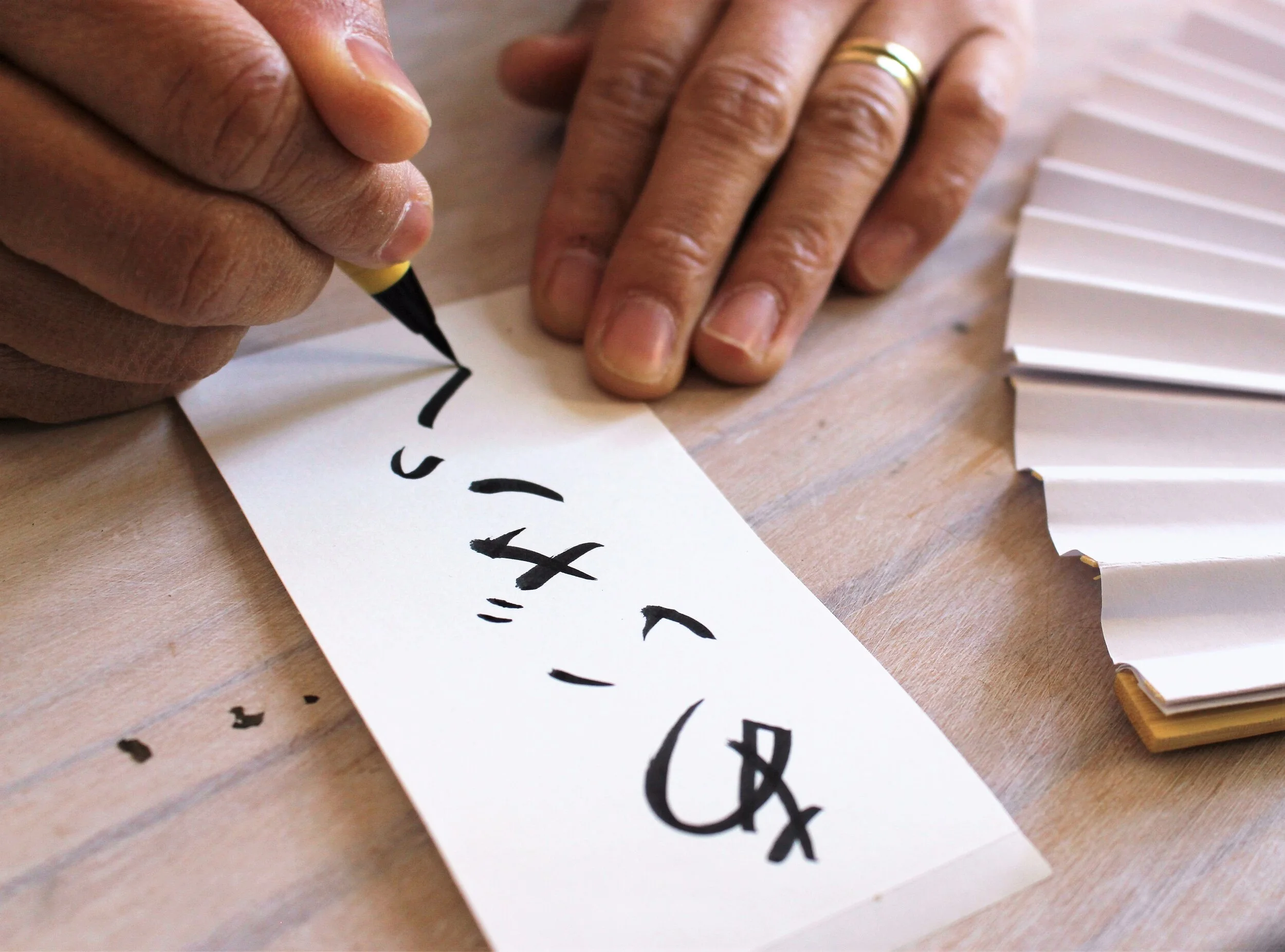 Wasabi Kids Japanese Experience / Japanese cultural Incursion