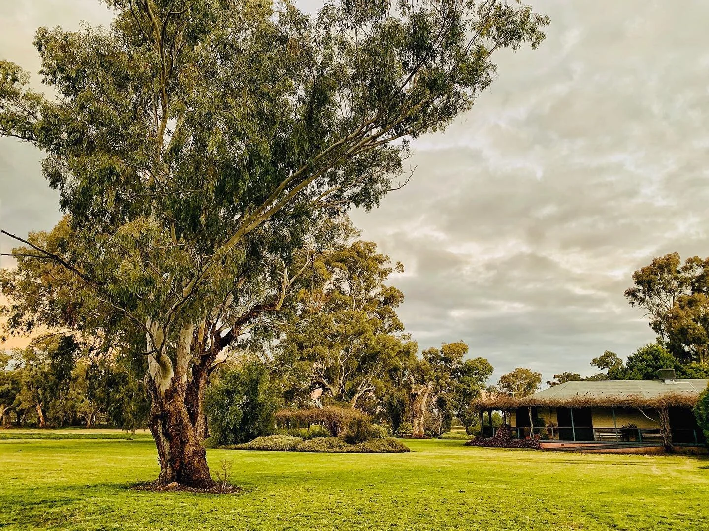 Eat — Visit Eugowra