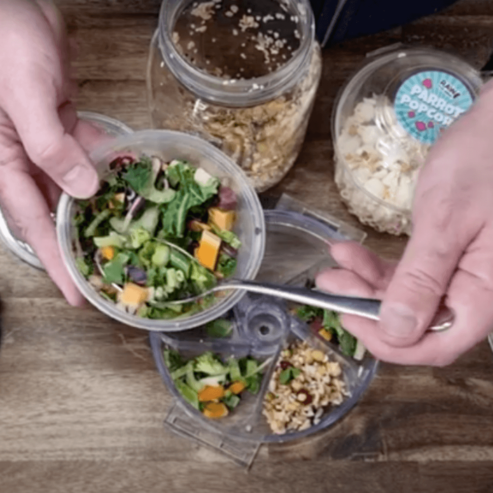 Queenslander Aviaries — Bird Store, Redbank Plains, QLD, Australia