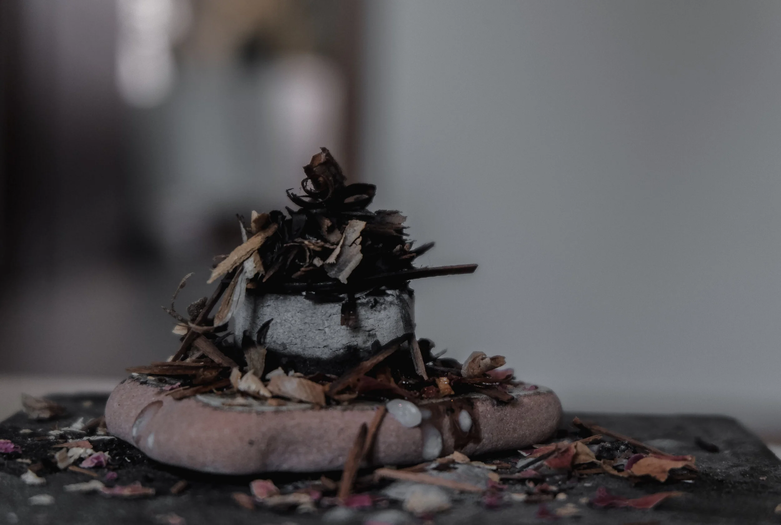 Moody Autumn - Un Peu Sauvage