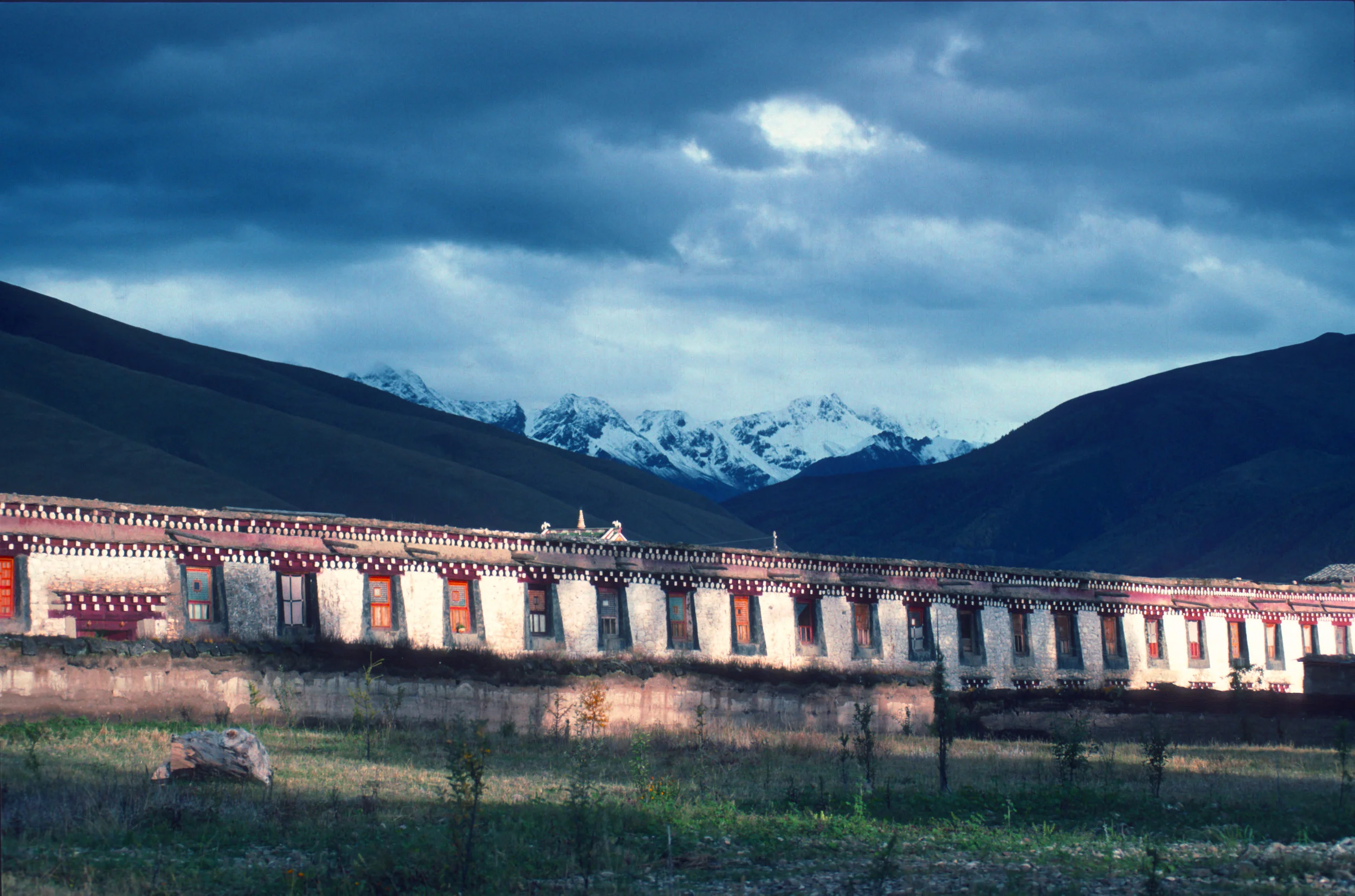 the tibet project — Hamish Horsley