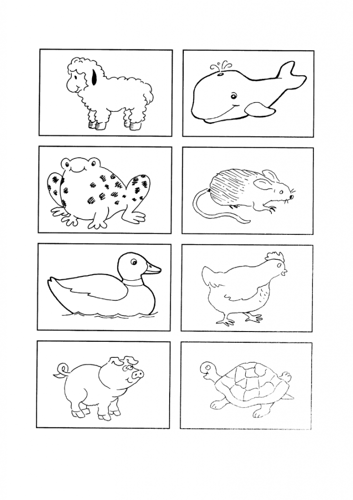 Lesson 7: The Animals that God Made — Children's Ministry