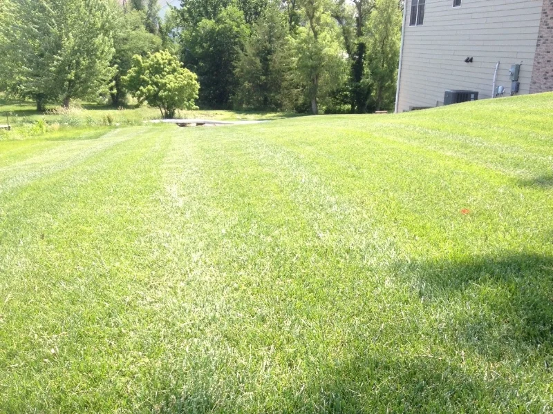 Flowing Springs Realty