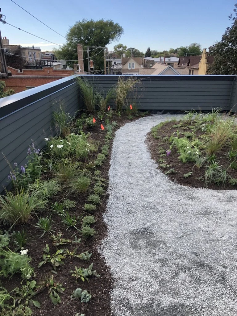 Logan Square Rooftop — Ecogardens