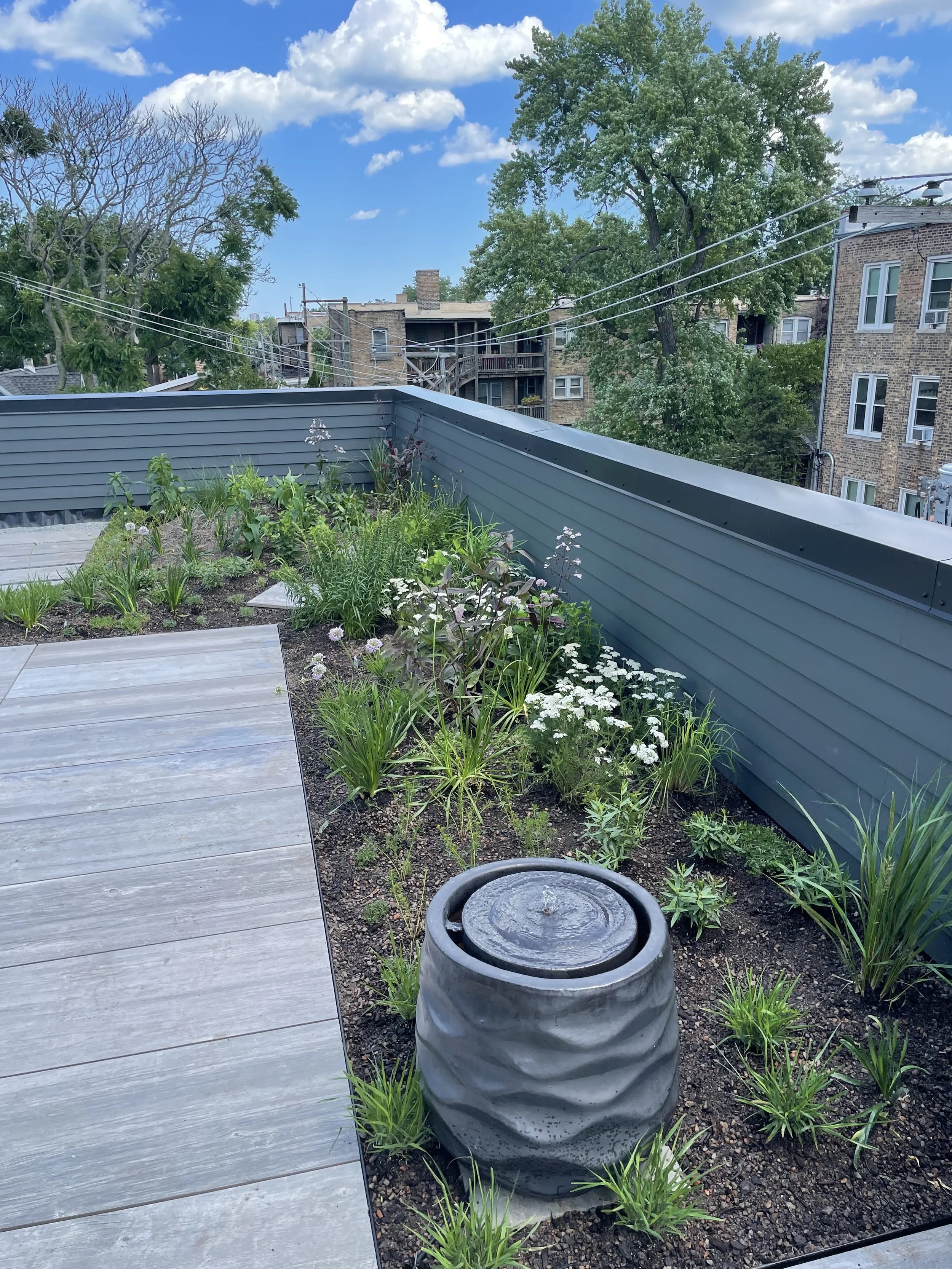 Logan Square Rooftop — Ecogardens