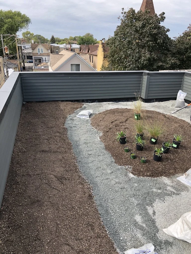 Logan Square Rooftop — Ecogardens
