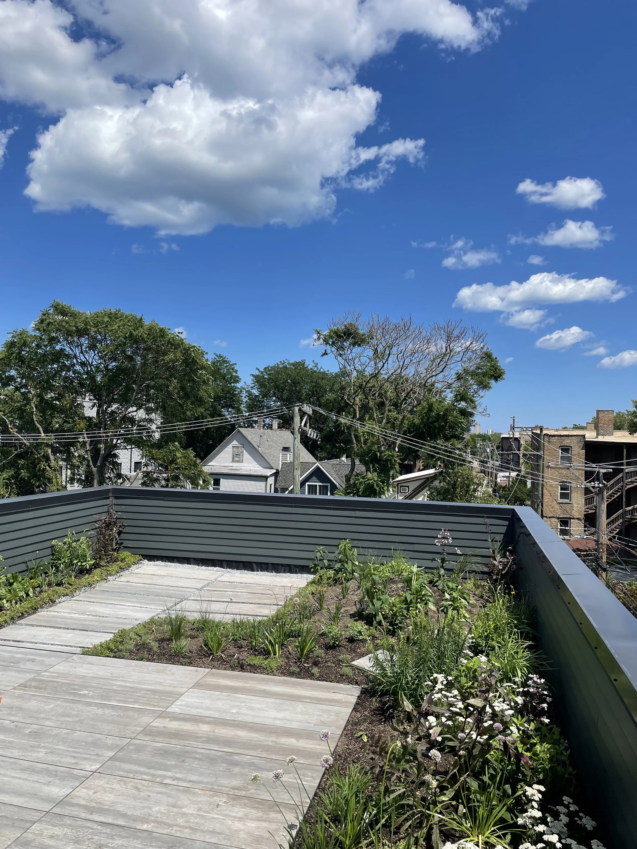 Logan Square Rooftop — Ecogardens