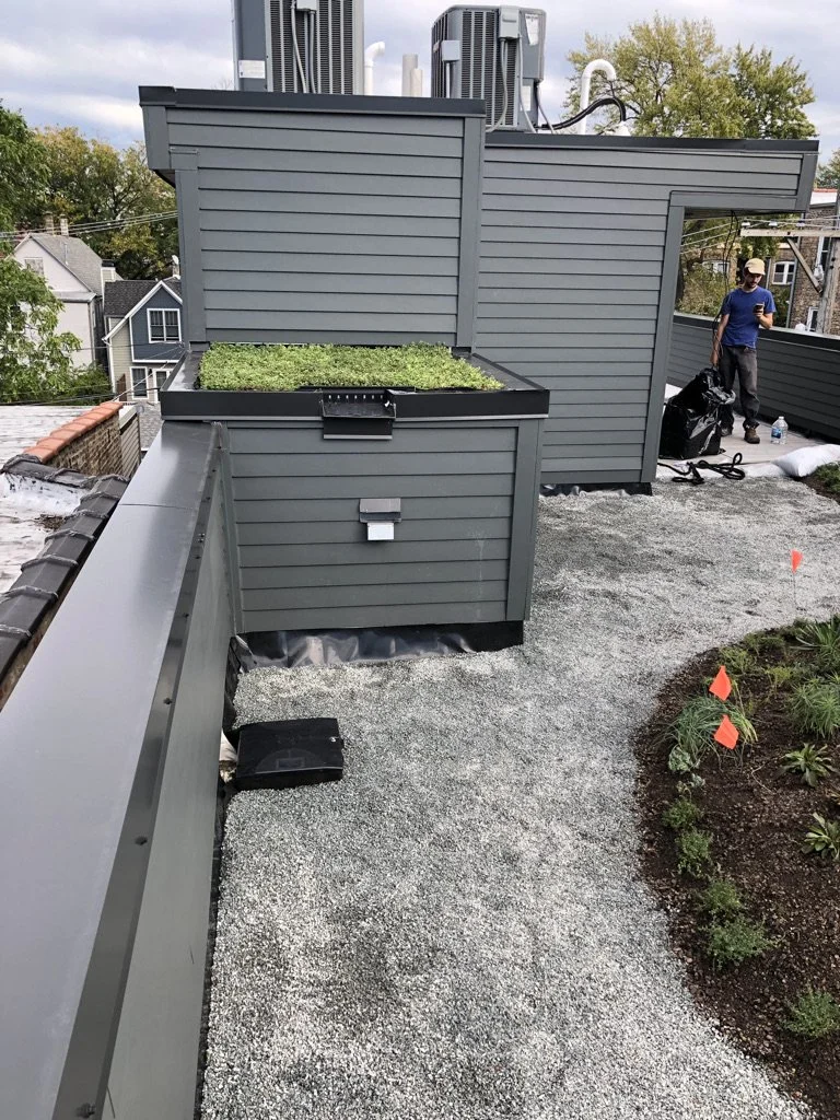 Logan Square Rooftop — Ecogardens