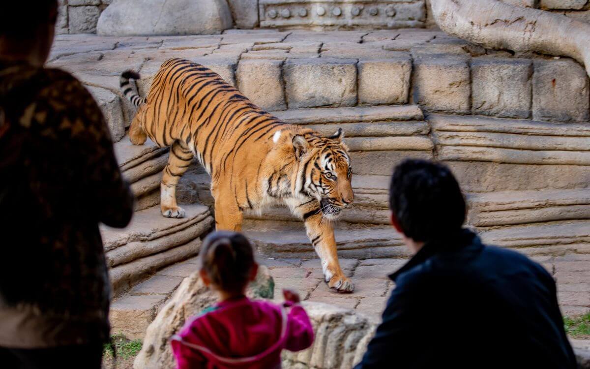 Visit Tulsa's Best Tourist Attractions | TulsaGo®