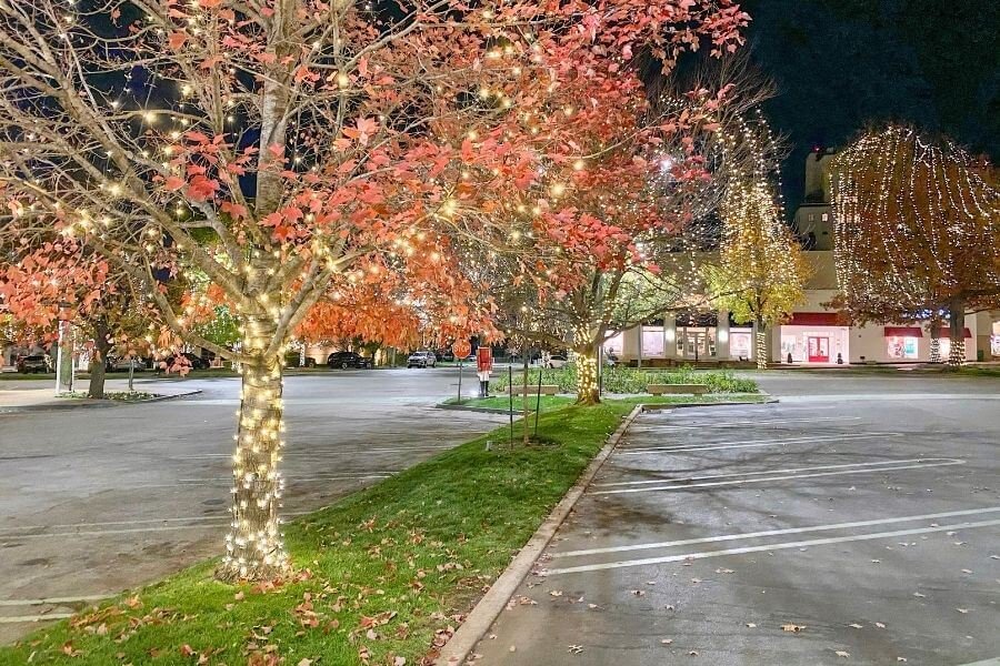 Lights On at Utica Square | TulsaGo®