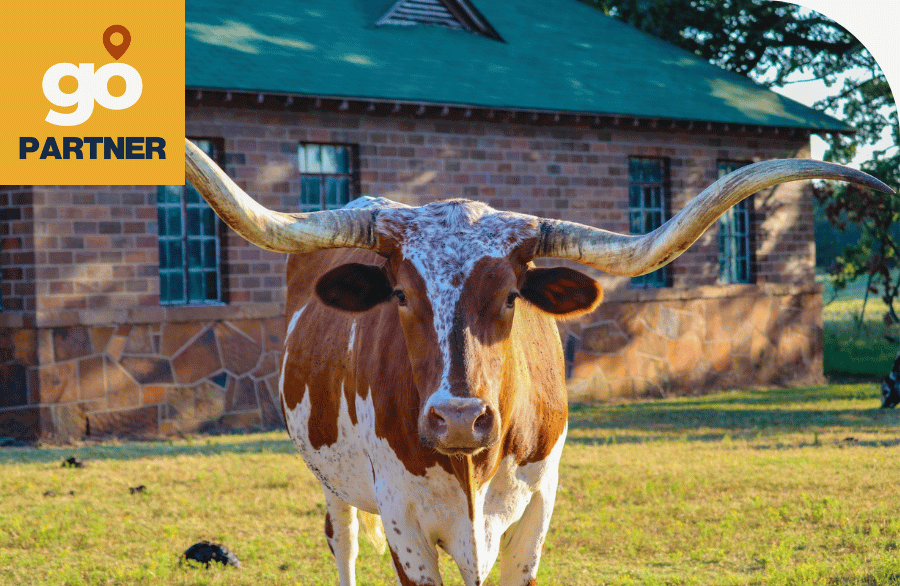 Tulsa Museum Guide for Locals & Tourists
