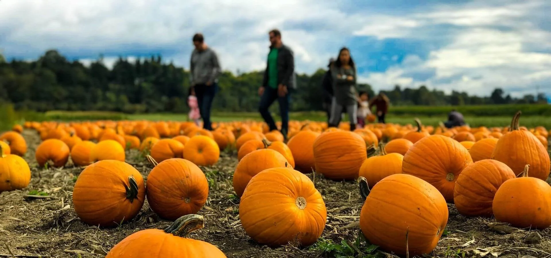 Fall 2025 Tulsa Events & Things to Do | TulsaGo®