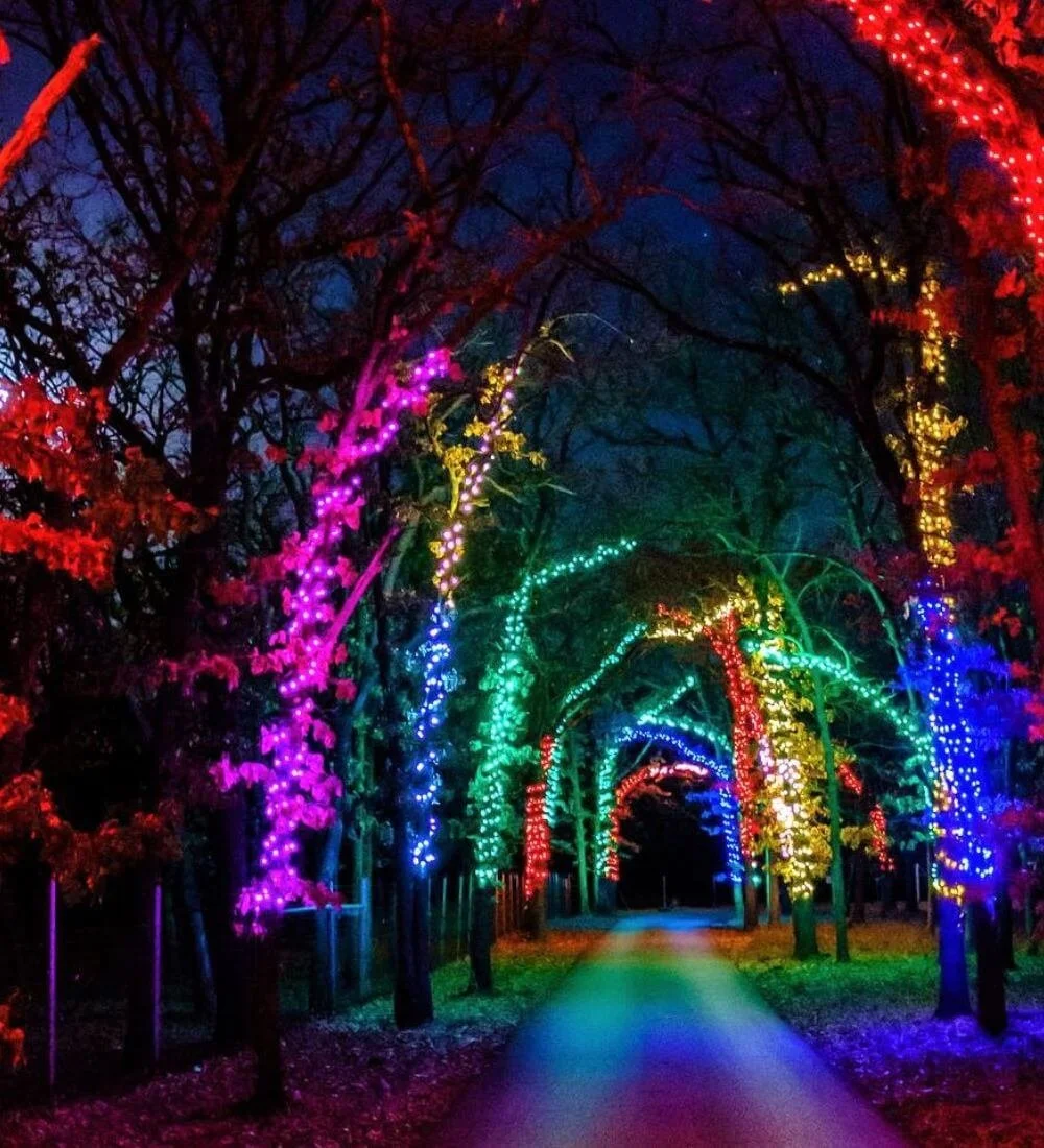 Woolaroc Wonderland of Lights | TulsaGo®