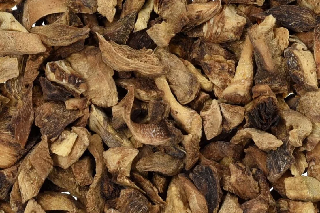 Elecampane — Zhi Herbals