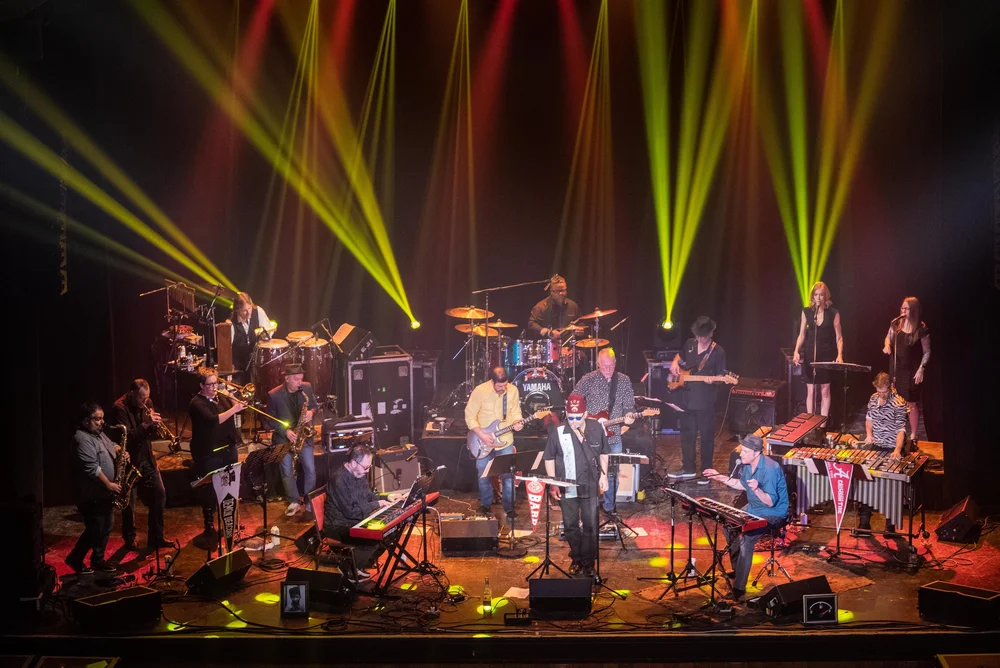 Steely Dane // The Ultimate Steely Dan Tribute // Performing GAUCHO