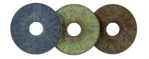 How to Get Started — VEO Ophthalmics