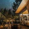 Nest Tree Houses – Unique Romantic Treetop Accommodation | South Island