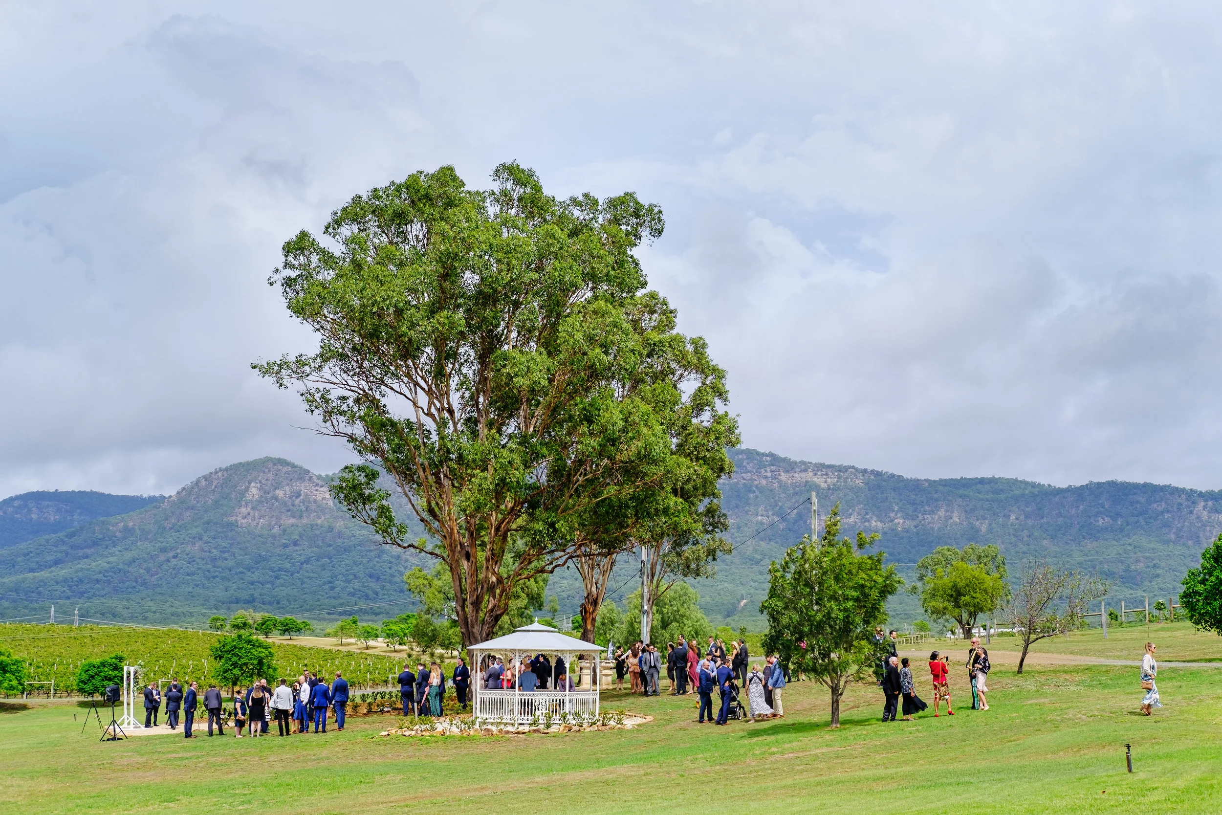 Gallery — Willow Tree Estate