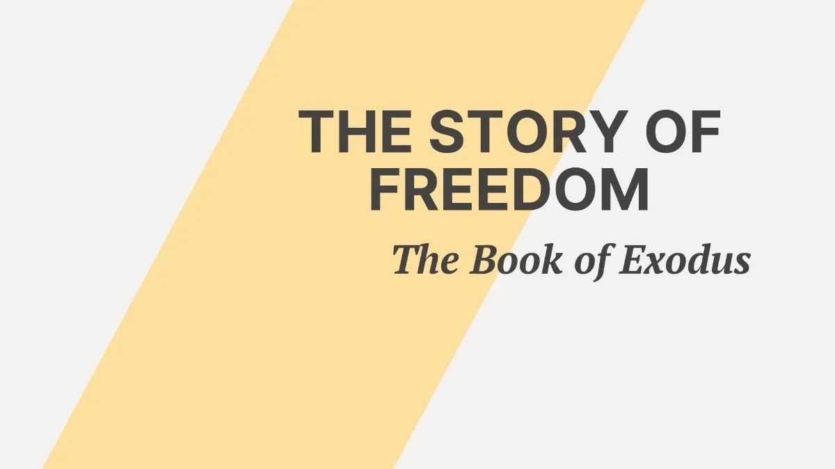 The Story Of Freedom — St Marks Freshwater