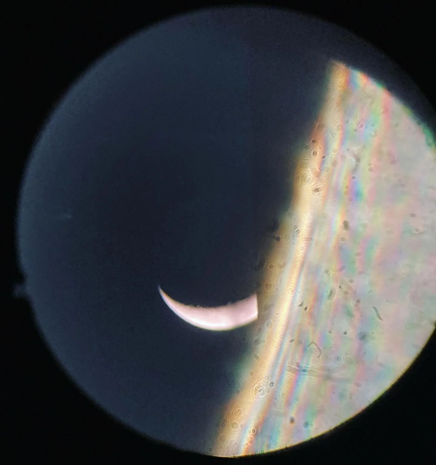 About — Tender Human