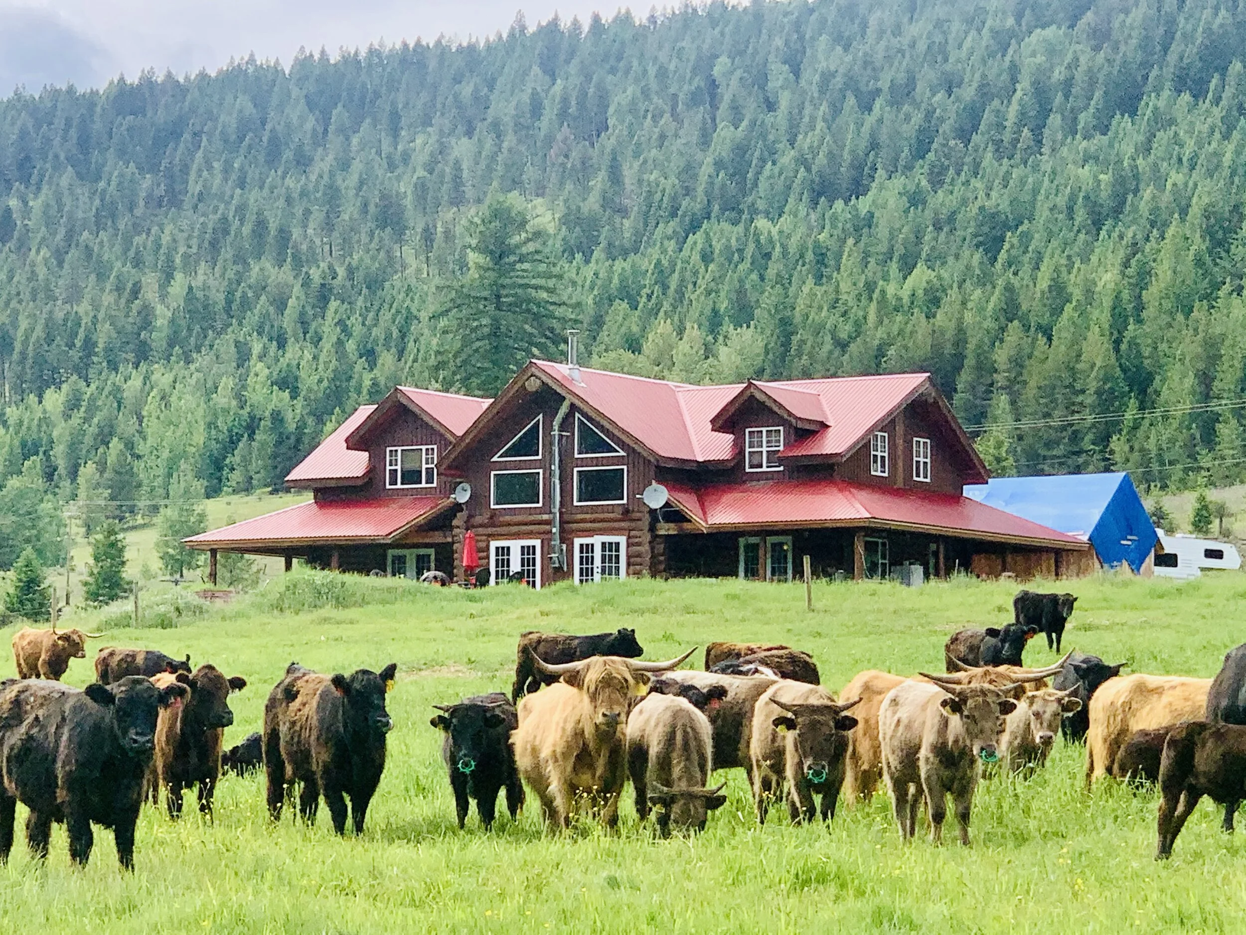 Contact — Waikikahei Ranch