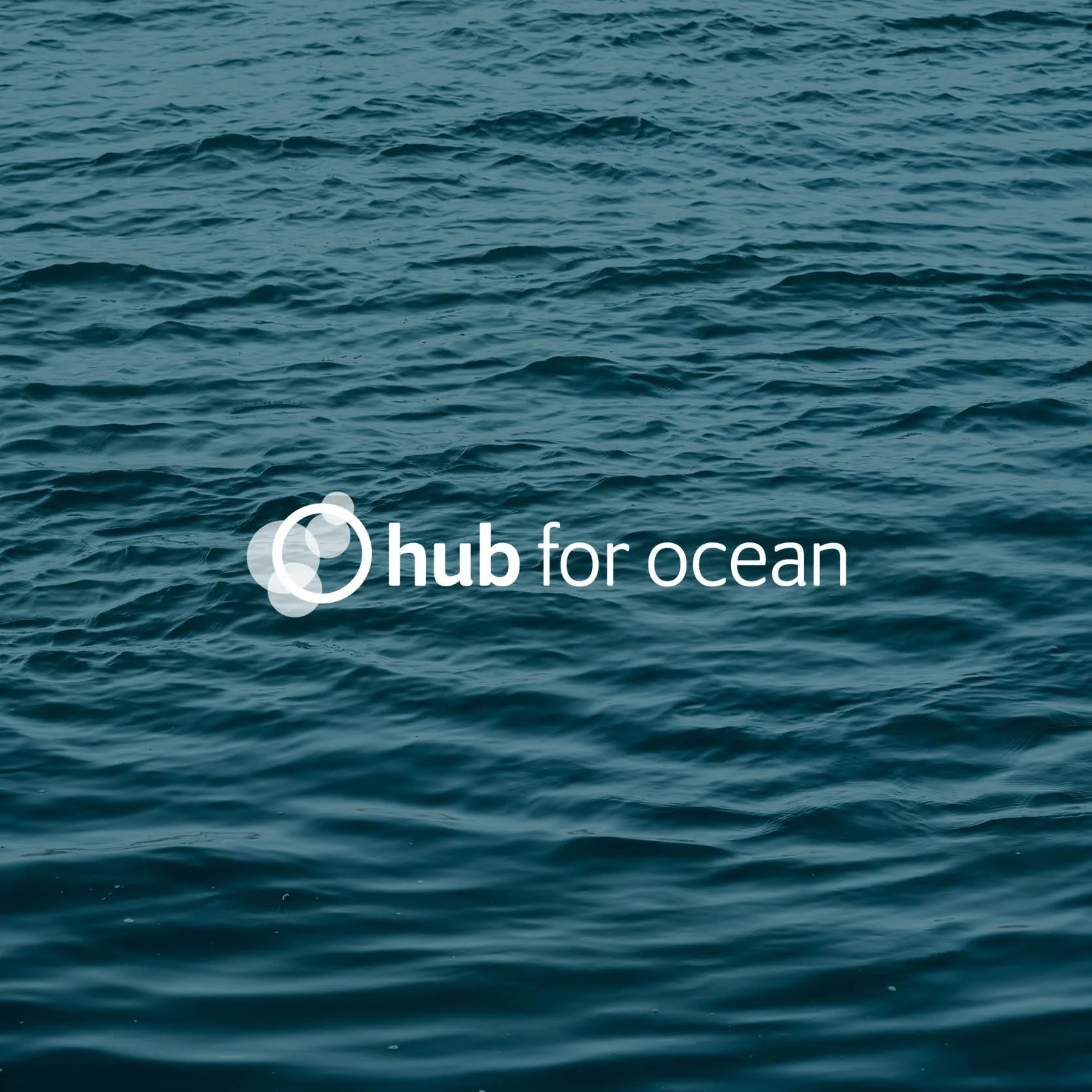 Hub For Ocean