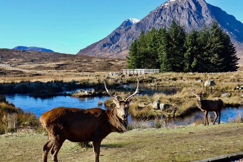 The Walkers Club — Home