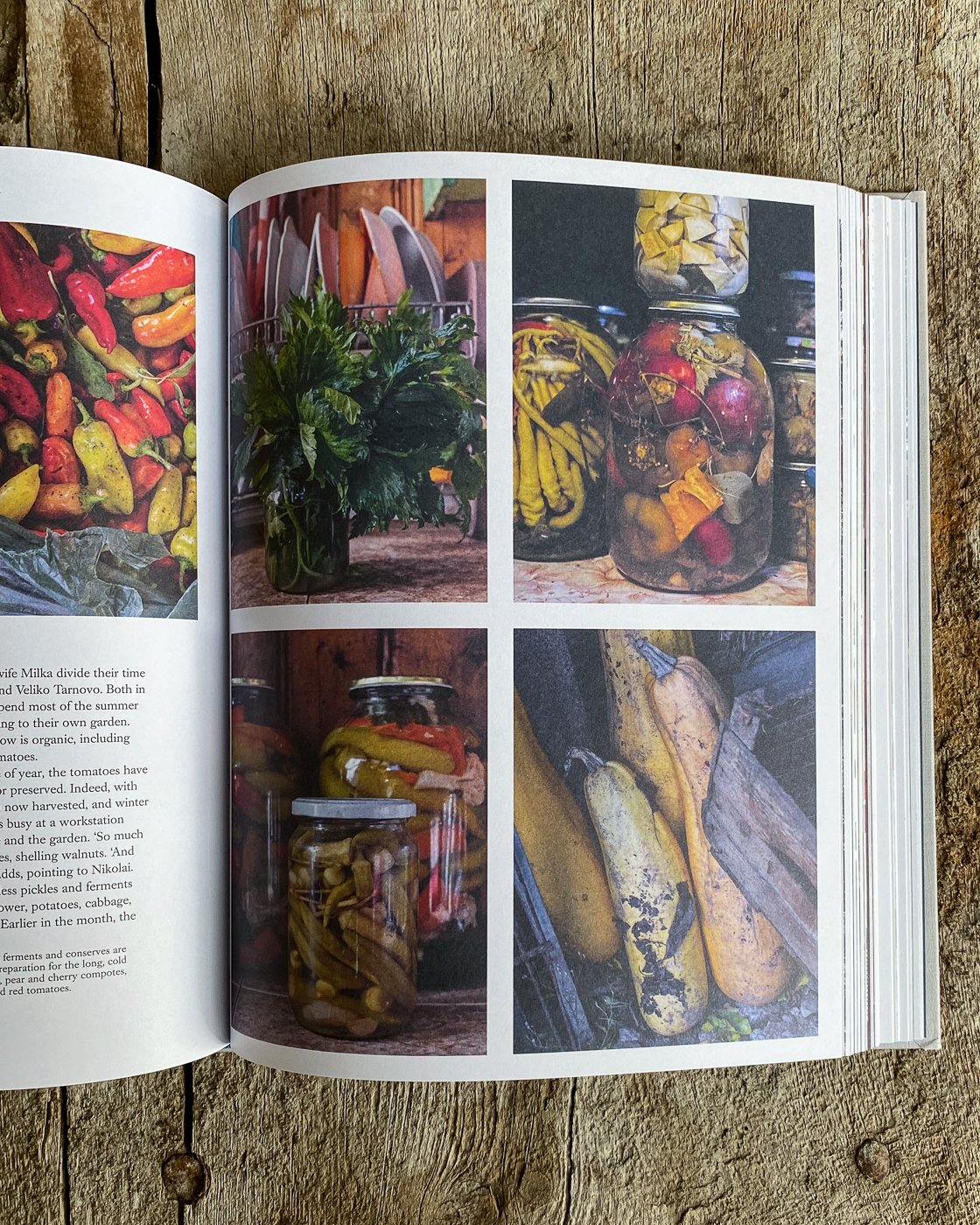 Joanna Maclennan Photographer in Provence