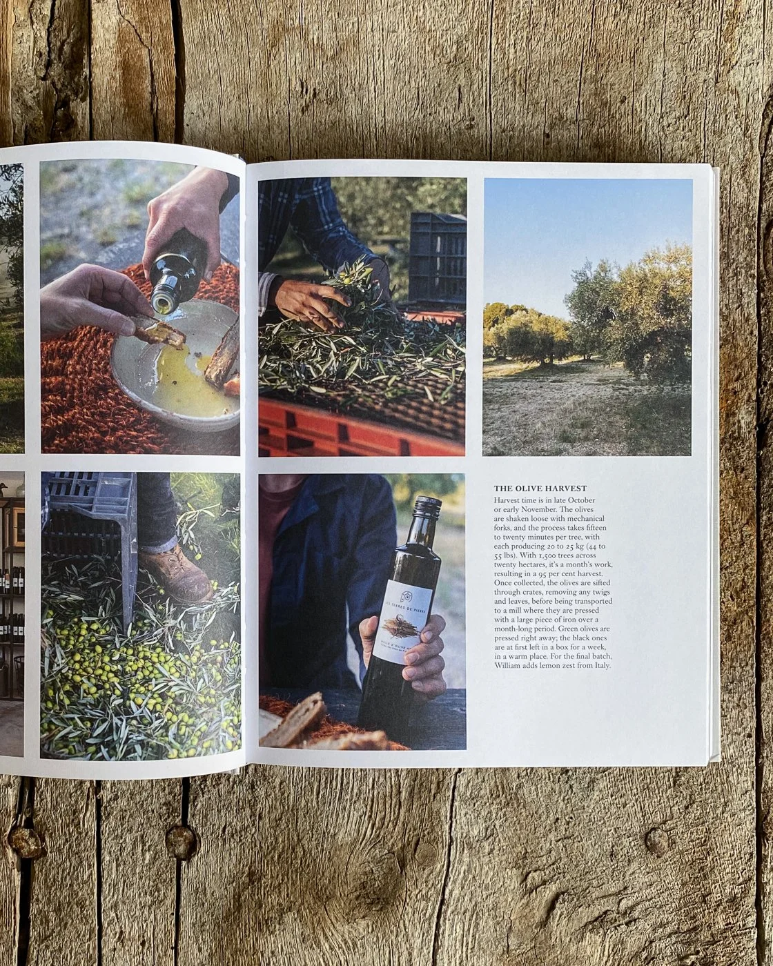 Joanna Maclennan Photographer in Provence